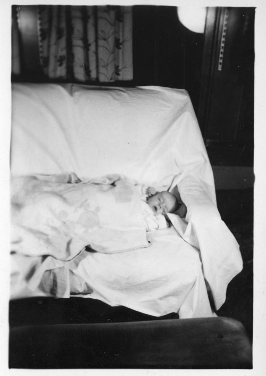 pix40_0010.jpg: These are the photos that were taken to prepare the ...